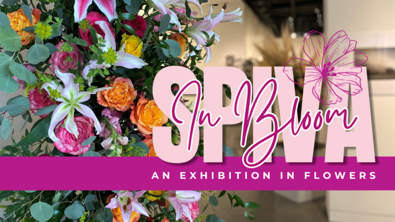 PhotoSpiva: National Photographic Competition & Exhibition - Spiva ...